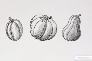 How to Draw a Pumpkin (three easy examples step by step) 🎃