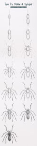 How to Draw a Spider (with amazing details) 🕷️