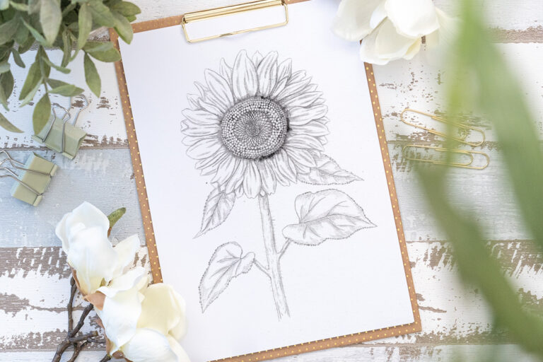How to Draw a Sunflower (very realistic) 🌻
