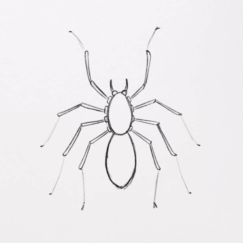 How To Draw A Spider with Amazing Details How To Draw A Spider with Amazing Details