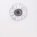 How to Draw a Sunflower (very realistic) 🌻
