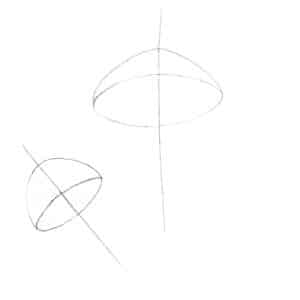 How to Draw A Mushroom (realistic) step by step 🍄