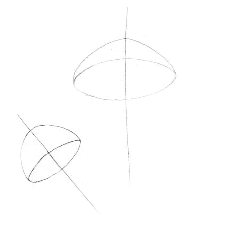 How to Draw A Mushroom (realistic) step by step 🍄