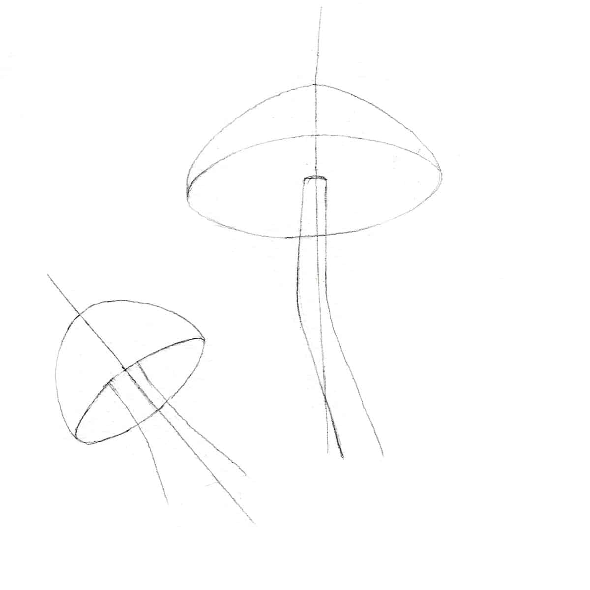 How to Draw A Mushroom (realistic) step by step 🍄