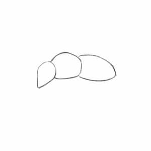 How to Draw a Bee (step by step tutorial) 🐝