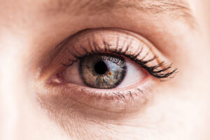 Auge zeichnen lernen (Schritt für Schritt mit Bleistift) 👁️