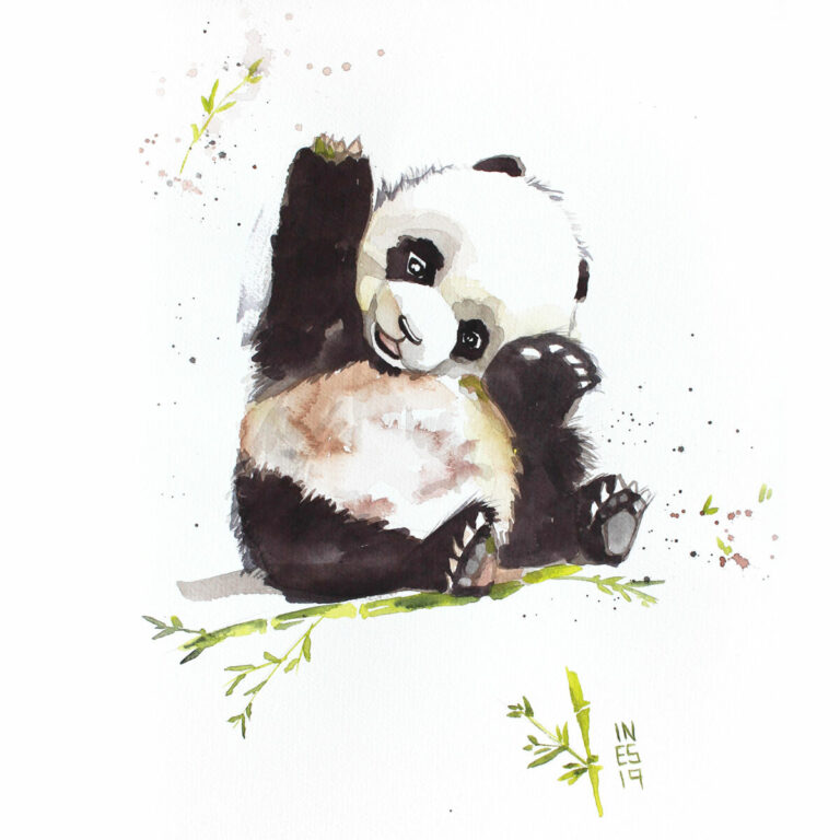Panda malen mit Aquarellfarbe (komplette Anleitung) 🐼