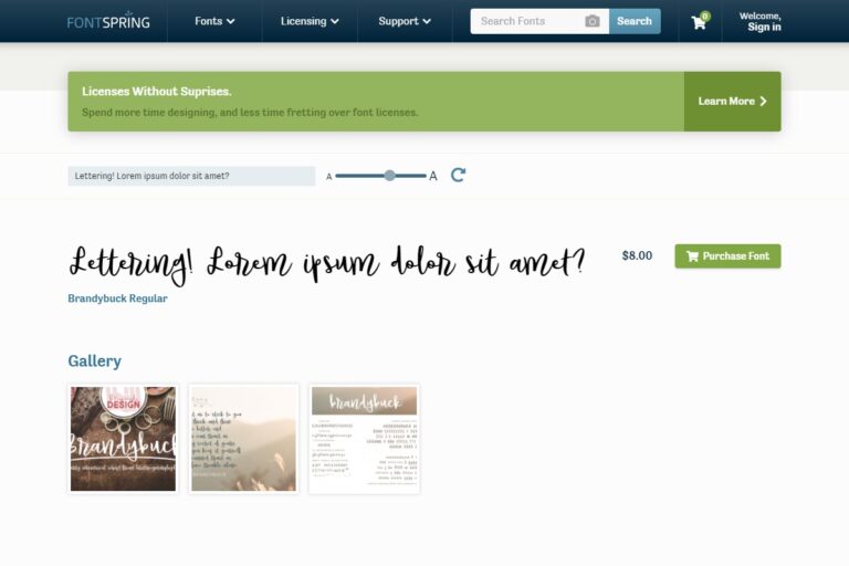 Handlettering Schriftarten: Die besten 10 Fonts, die ich kenne!