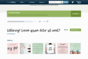 Handlettering Schriftarten: Die besten 10 Fonts, die ich kenne!