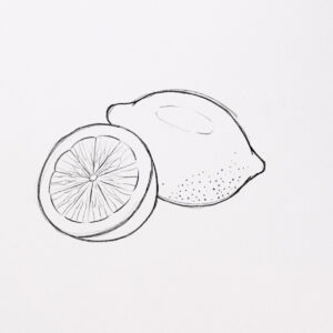 Zitrone zeichnen (komplett oder geteilt) Schritt für Schritt 🍋